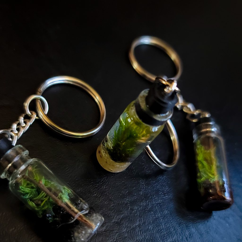 Custom Keychains For Terrarium/Aquarium Lovers | Shop Bantam.Earth
