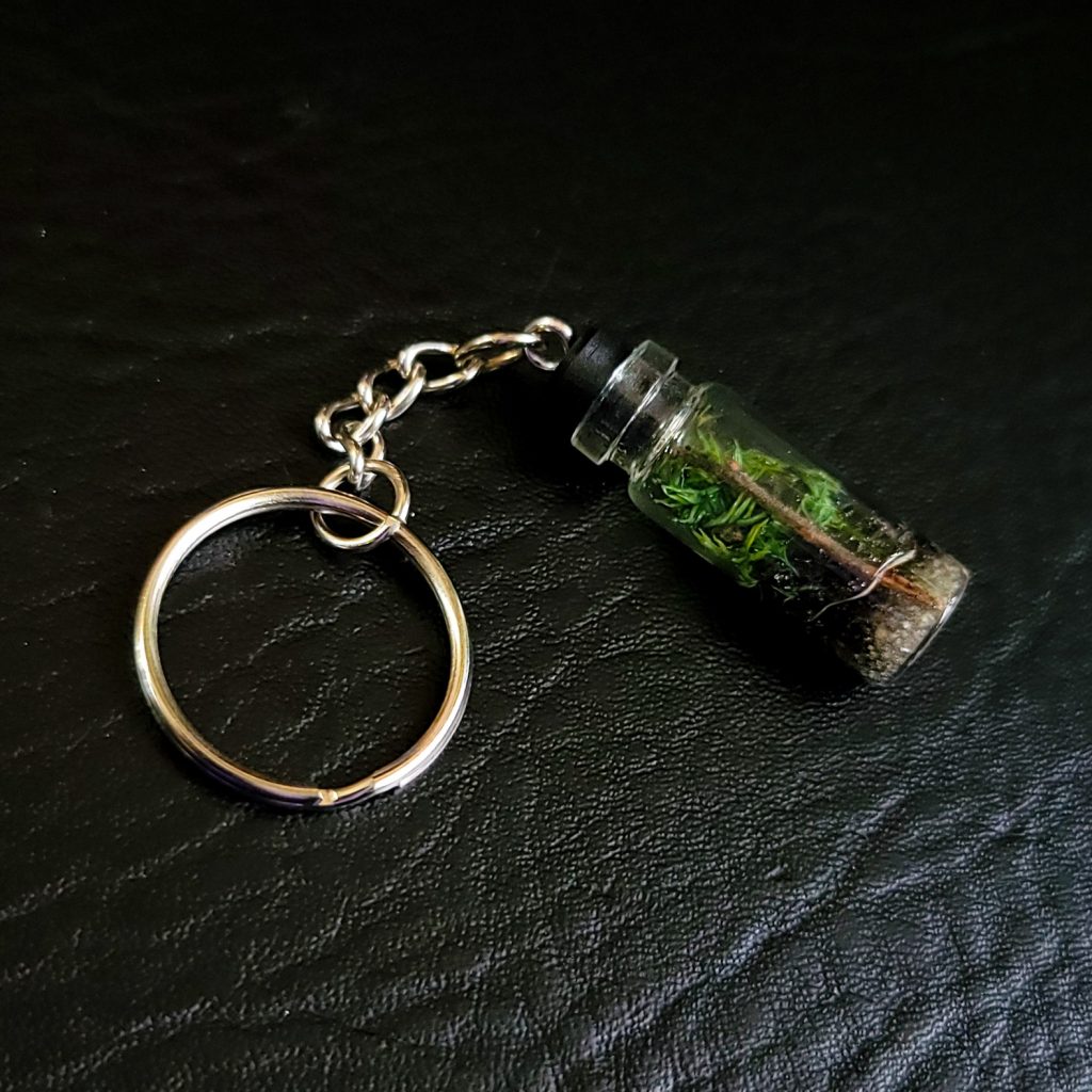 Rainforest Paludarium Keychain with Personalized Animals | Bantam.Earth