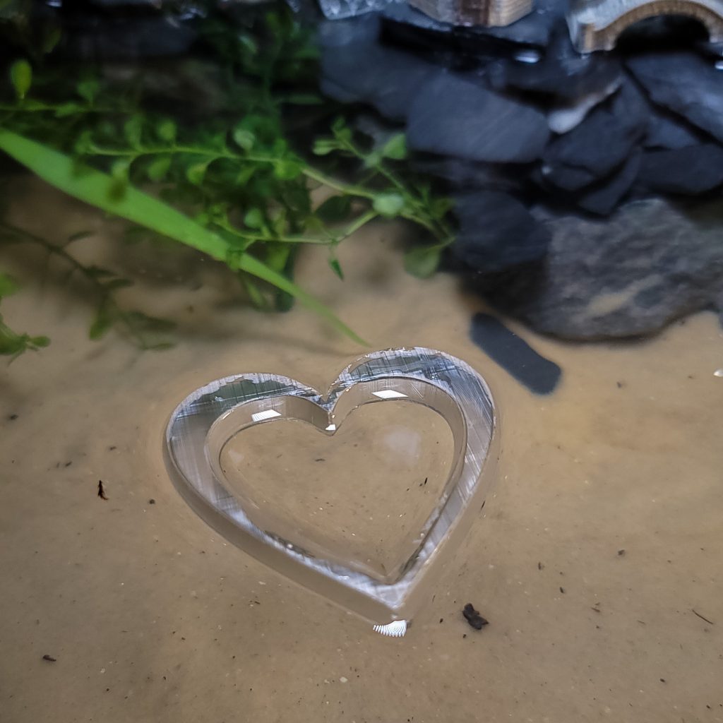 Heart Fish Portal Feeding Ring - Aquarium Decor | Bantam.Earth