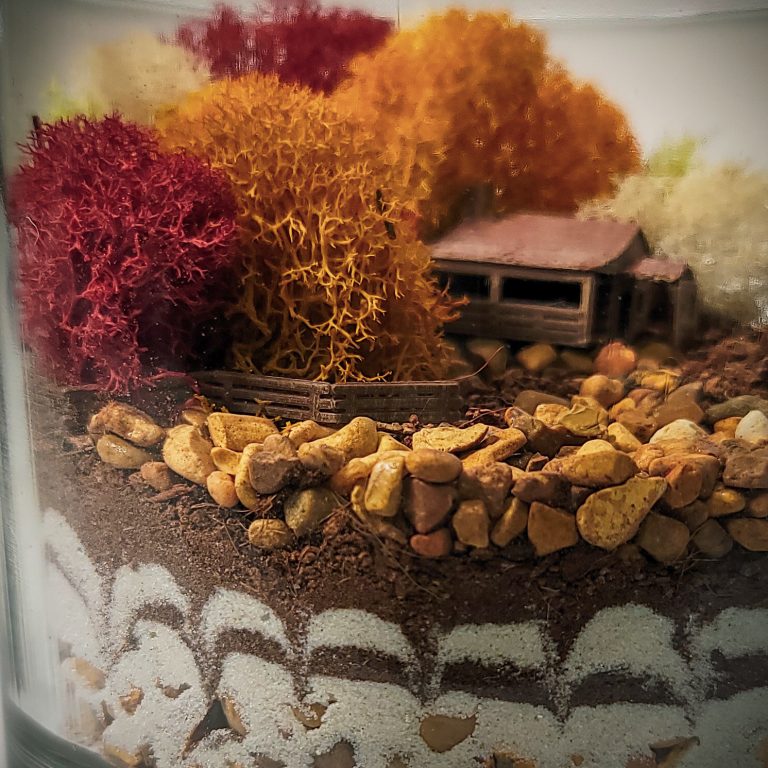 Customizable DIY Terrarium Kits | Shop Bantam.Earth