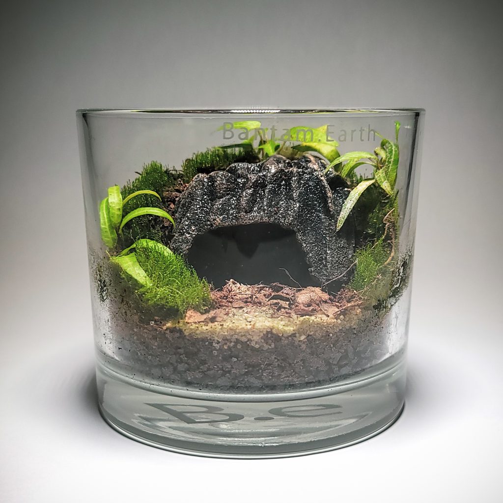 DIY Mini Cave Terrarium kit | Bantam.Earth