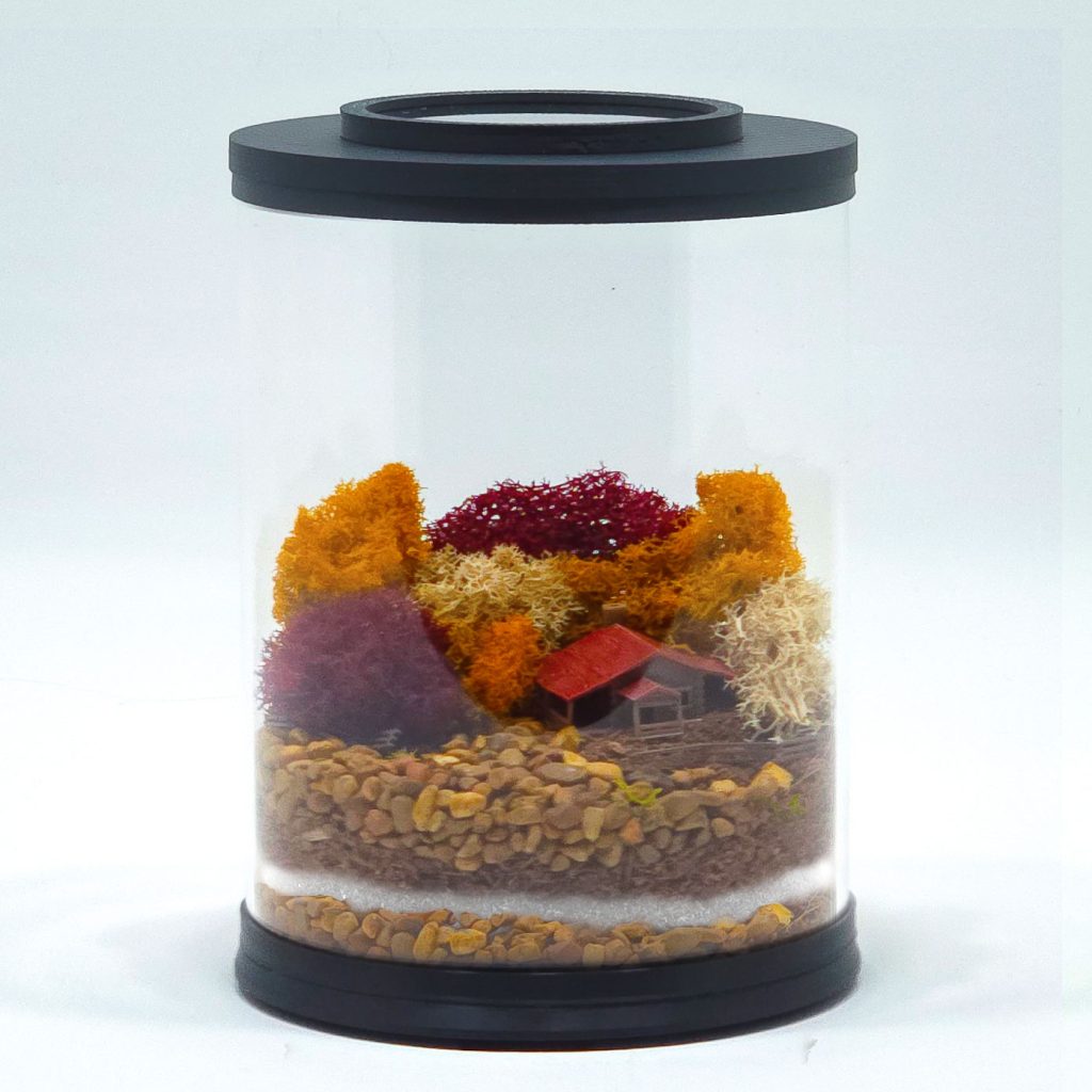 DIY Mini Cozy Cabin Terrarium kit | Bantam.Earth