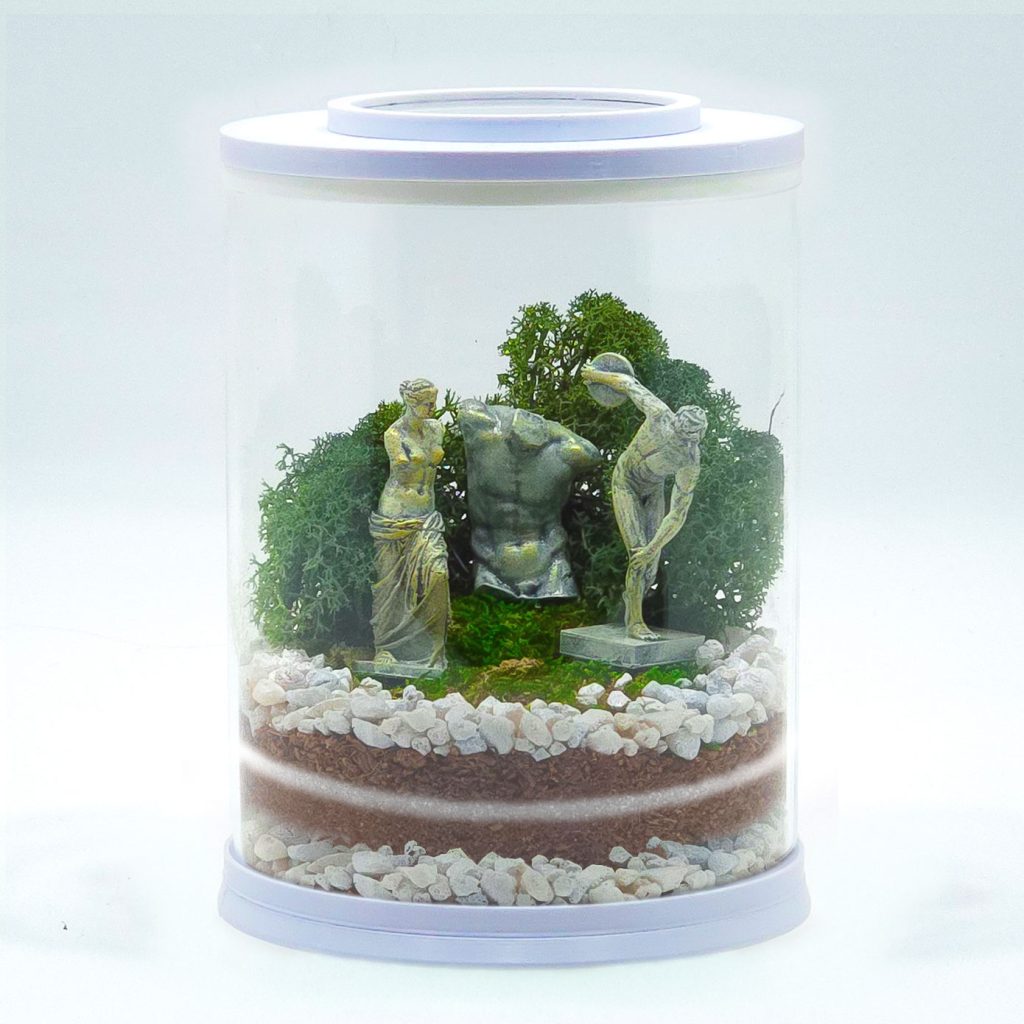 DIY Mini Greek Statue Terrarium Kit | Bantam.Earth