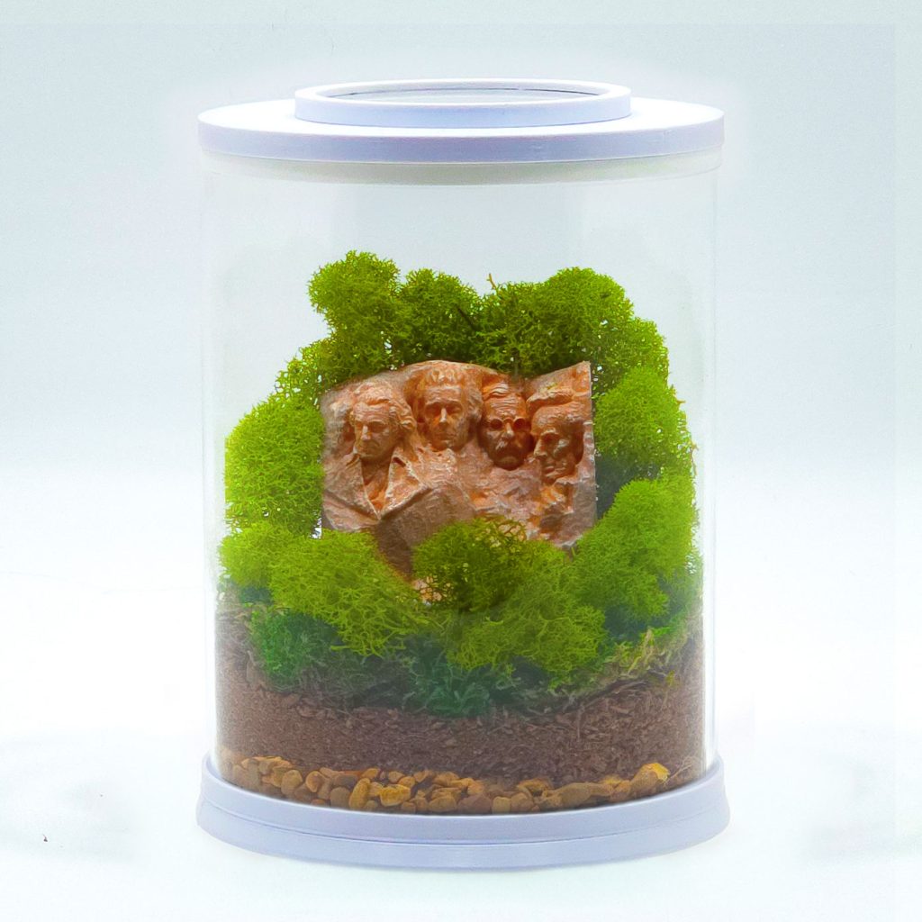 DIY Mini Mount Rushmore Terrarium Kit | Bantam.Earth