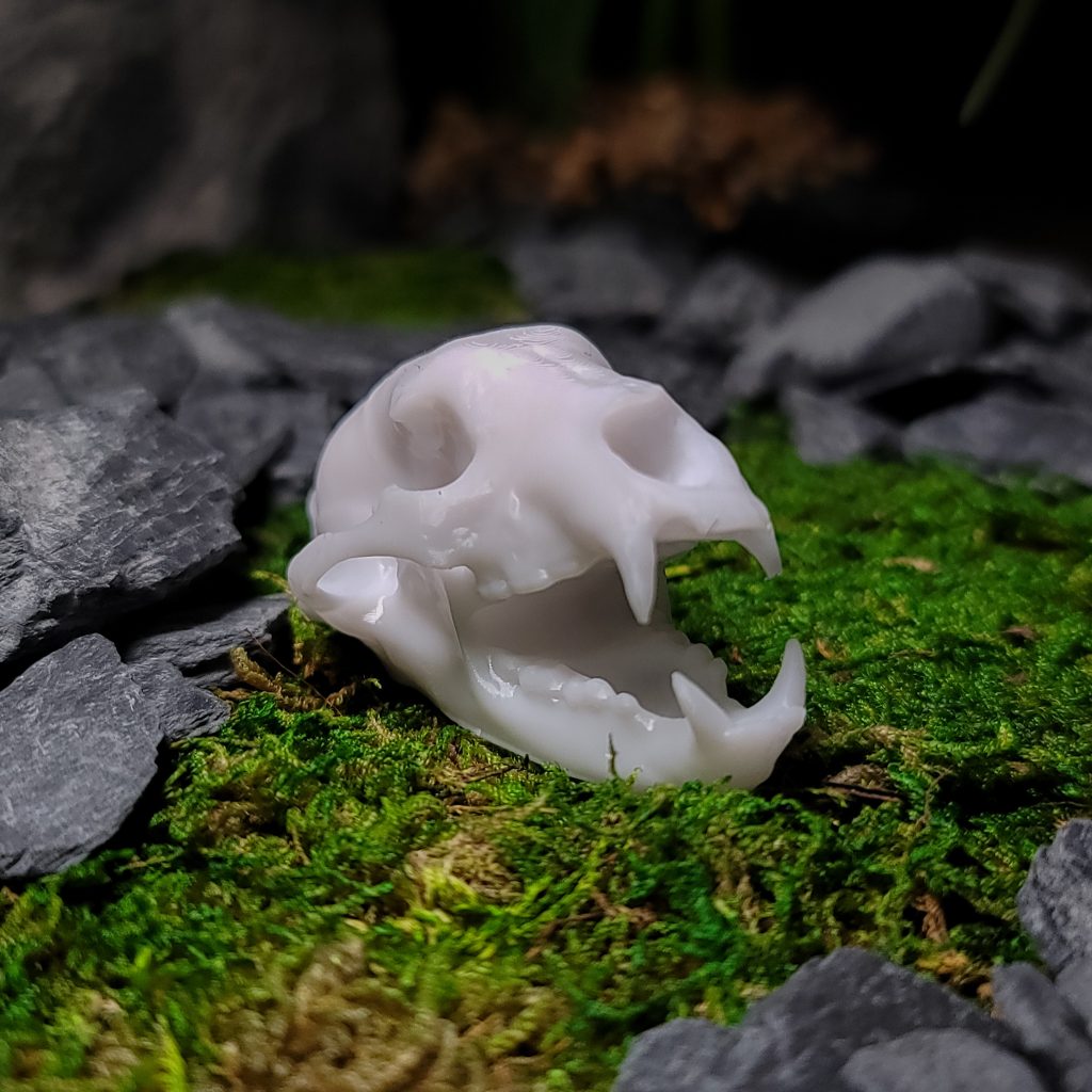 Small Bear Skull Decor | Bantam.Earth