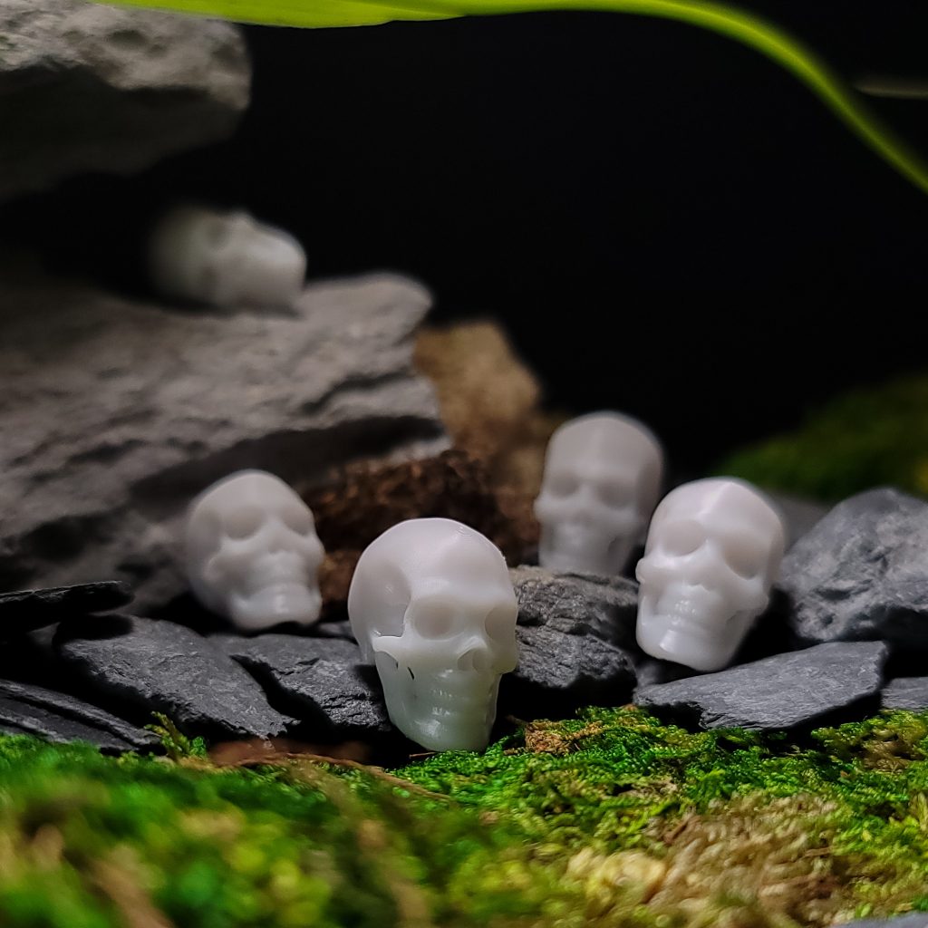 Miniature Human Skulls Decor Set | Bantam.Earth