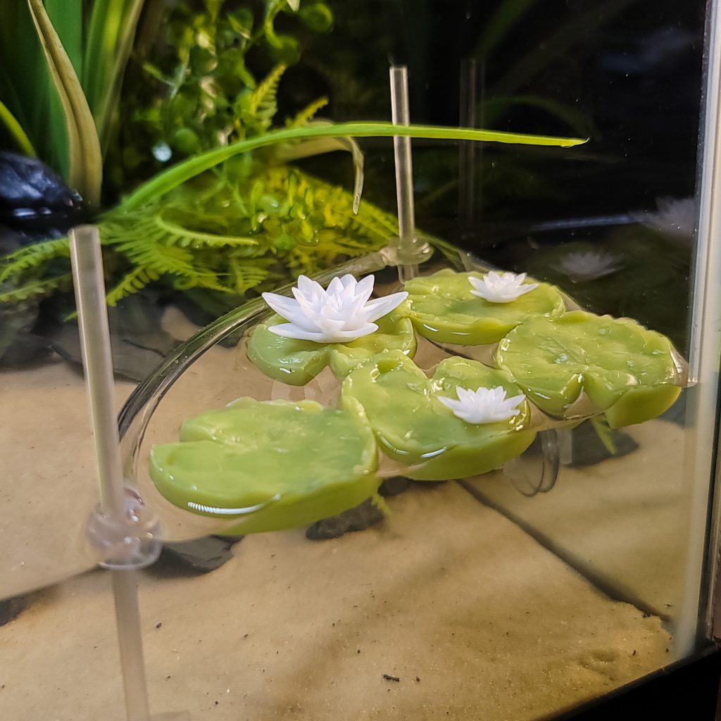 Floating Plant Corral "Self-Adjusting" | Bantam.Earth