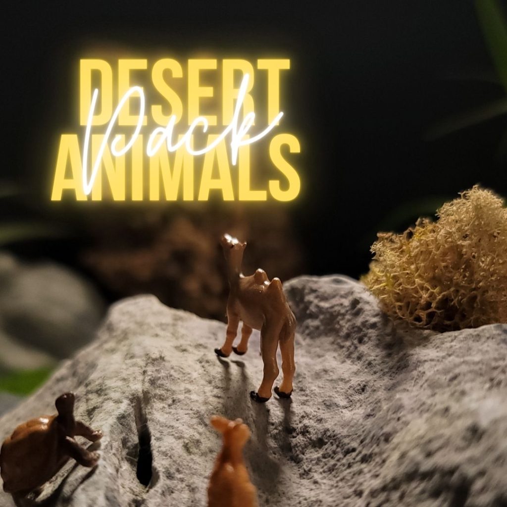 Miniature Desert Animal Figurines Terrarium Decor | Bantam.Earth