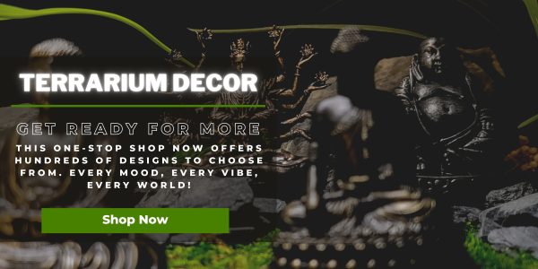 190+ Unique Terrarium Decorations For EVERY Style Or Theme!