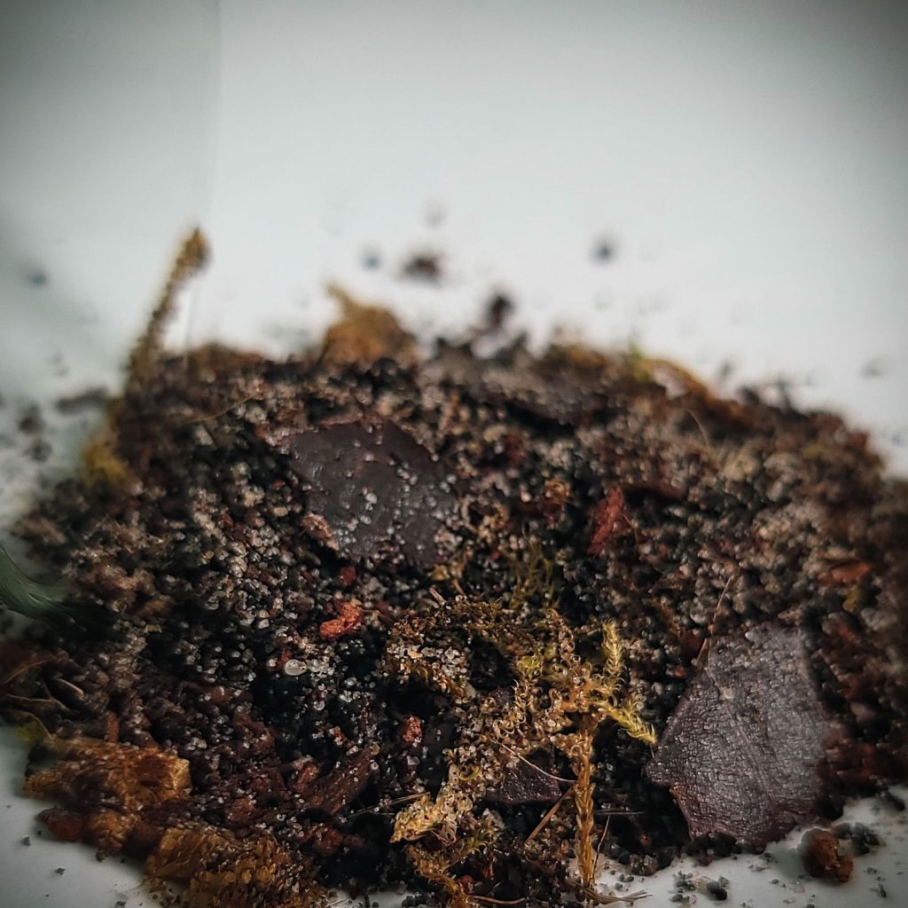 Premium Springtail Substrate Blend For Terrariums | Bantam.Earth