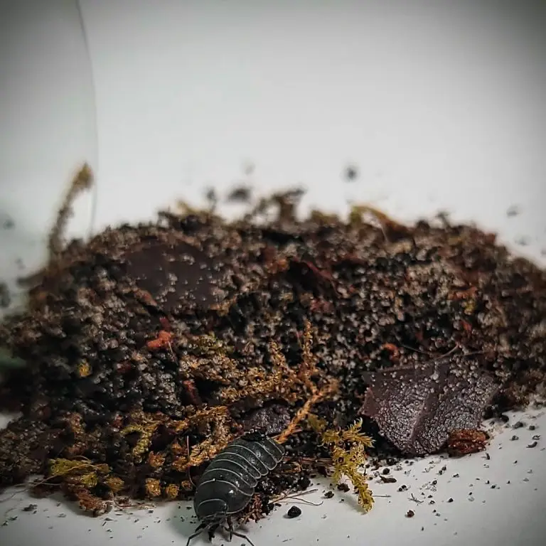 Customizable Isopod Enclosure Kit | Bantam-V2 ISO 2 Series