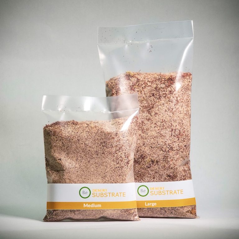 Arid Desert Substrate Mix For Terrariums | Bantam.Earth