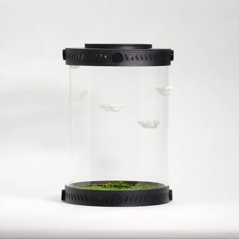 Adaptable Jumping Spider Enclosure Kit | Bantam-V2 Jumper