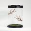 Mini Magnetic Tree Branch Ledge Decor Set For Terrariums