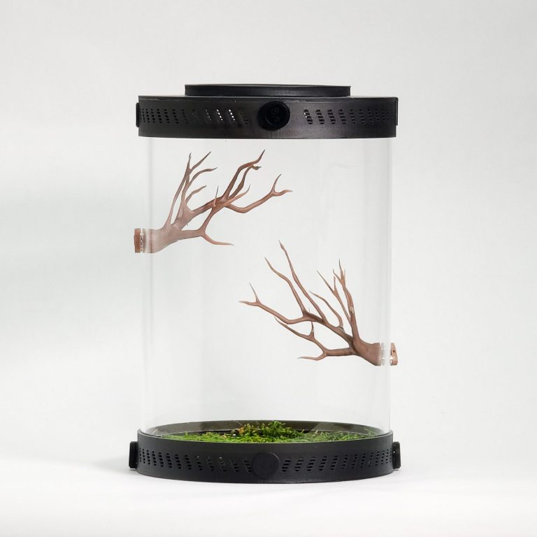 Mini Magnetic Tree Branch Ledge Decor Set For Terrariums