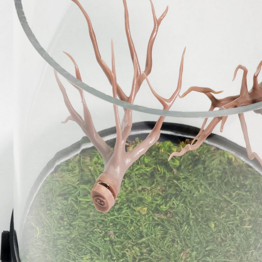 Mini Magnetic Tree Branch Ledge Decor Set For Terrariums