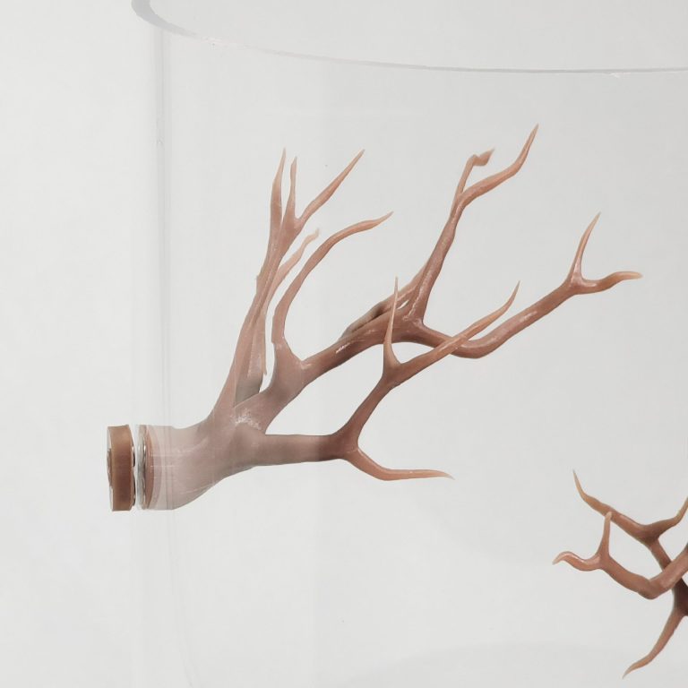 Mini Magnetic Tree Branch Ledge Decor Set For Terrariums