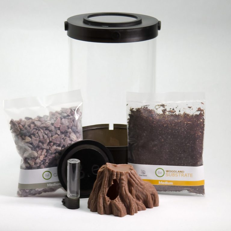 Customizable Land Snail Enclosure Kit | Bantam-V2 Gastro 2