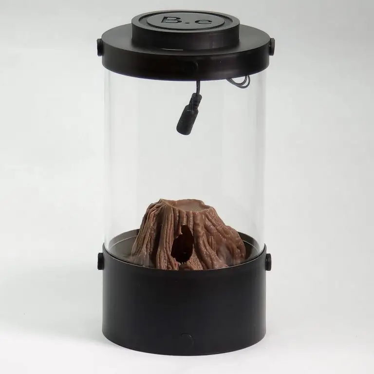 Customizable Land Snail Enclosure Kit | Bantam-V2 Gastro 2