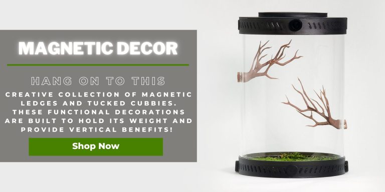 Creatively Magnetic Terrarium Ledge & Cubby Sets