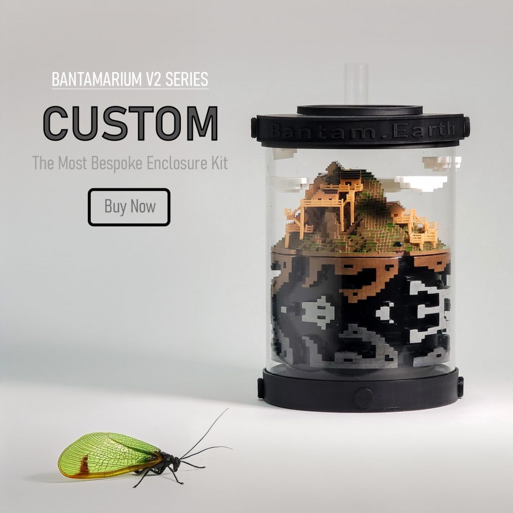 Bantamarium V2 | Customizable Insect Terrarium Kit