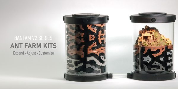 Expandable Ant Farm Kits for Ant Keeping | Bantam V2 Series