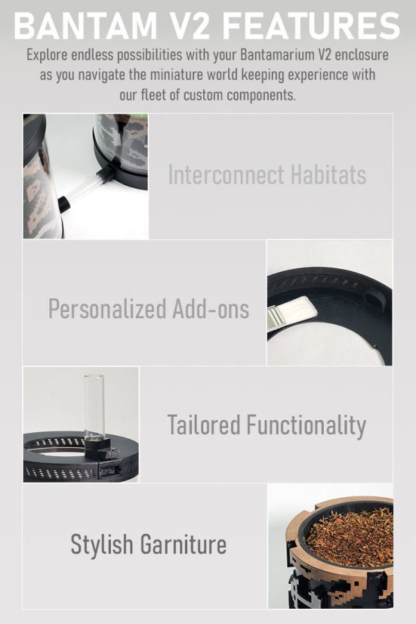 Expandable Ant Farm Kits for Ant Keeping | Bantam V2 Series