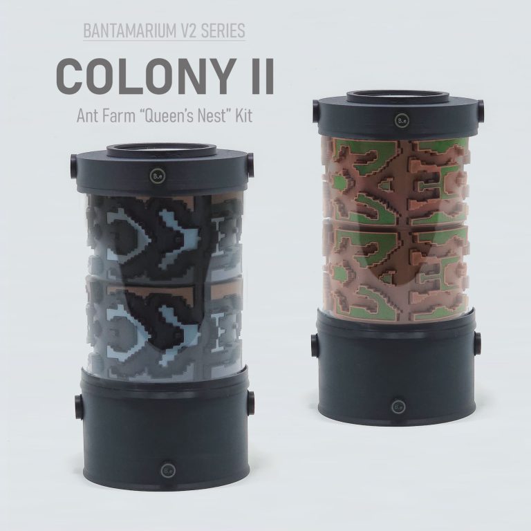 Expandable Ant Farm Kits for Ant Keeping | Bantam V2 Series