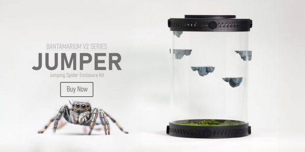 Customizable Spider Enclosures | Bantamarium V2 Series
