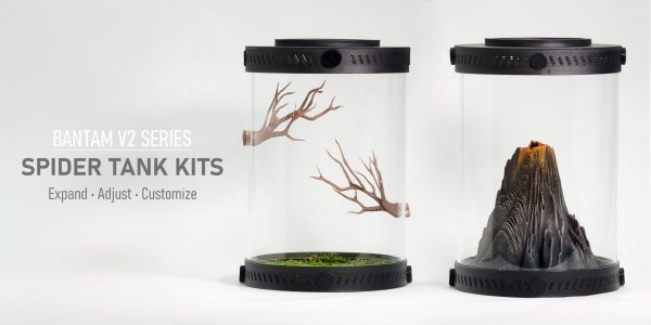 Customizable Spider Enclosures | Bantamarium V2 Series